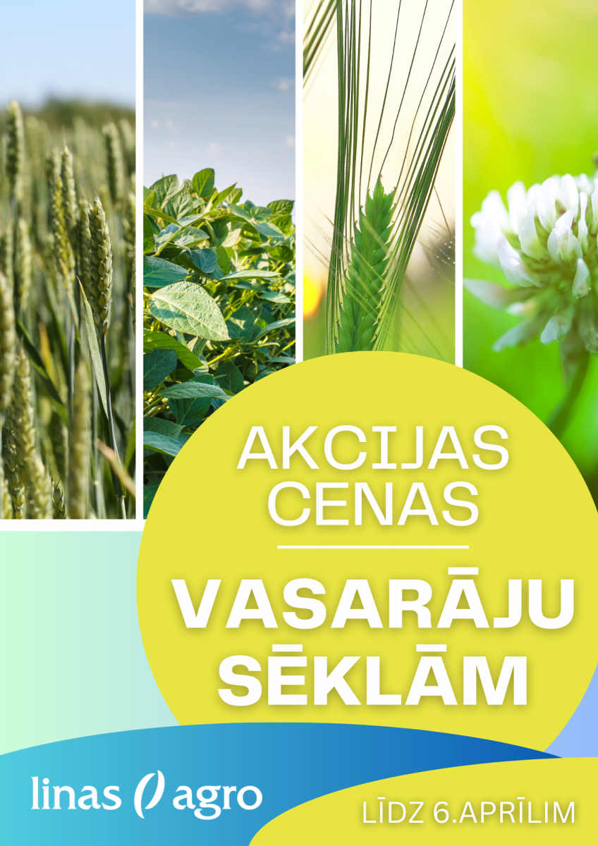 Akcijas cenas vasarāju sēklām -linasagro.lv